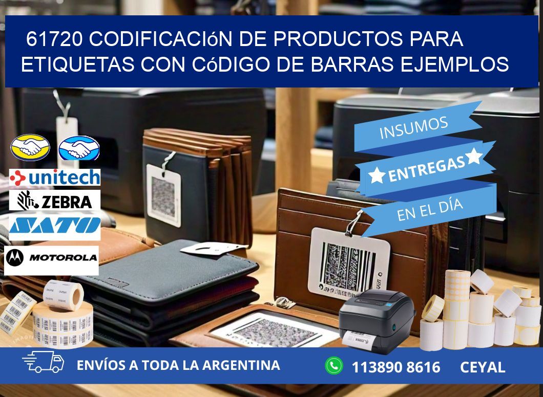 61720 Codificación de productos para etiquetas con código de barras ejemplos | Venta de Etiquetas