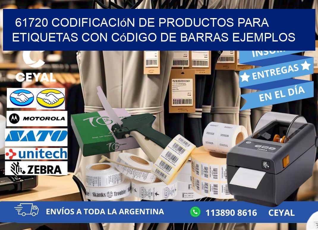 61720 Codificación de productos para etiquetas con código de barras ejemplos | Venta de Etiquetas